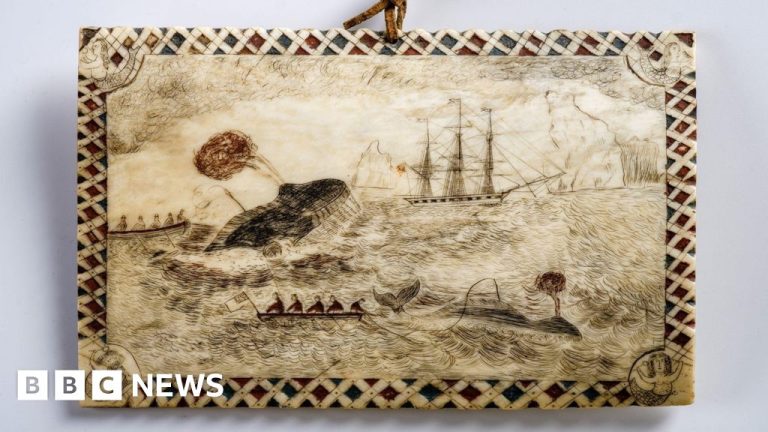 Revamped museum to showcase rare whalebone art - Where In Hull