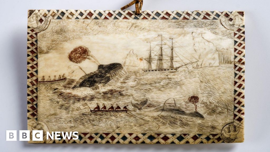 Revamped museum to showcase rare whalebone art - Where In Hull
